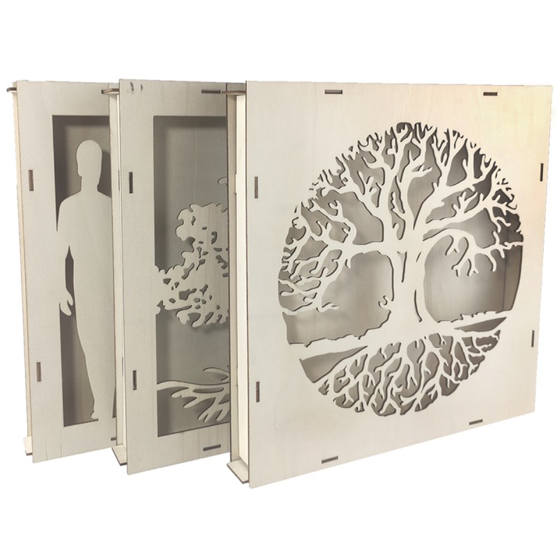 Decoupage, pictura, blank-uri - Caseta blank fluture, tablou pt licheni ...